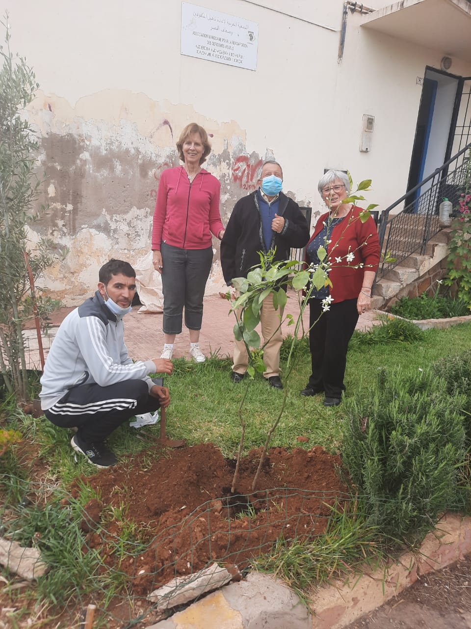 Development/Trees – AIWC of Casablanca